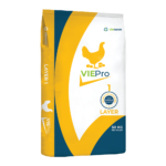 Chicken Layer Feeds – Vienovo Philippines Inc.